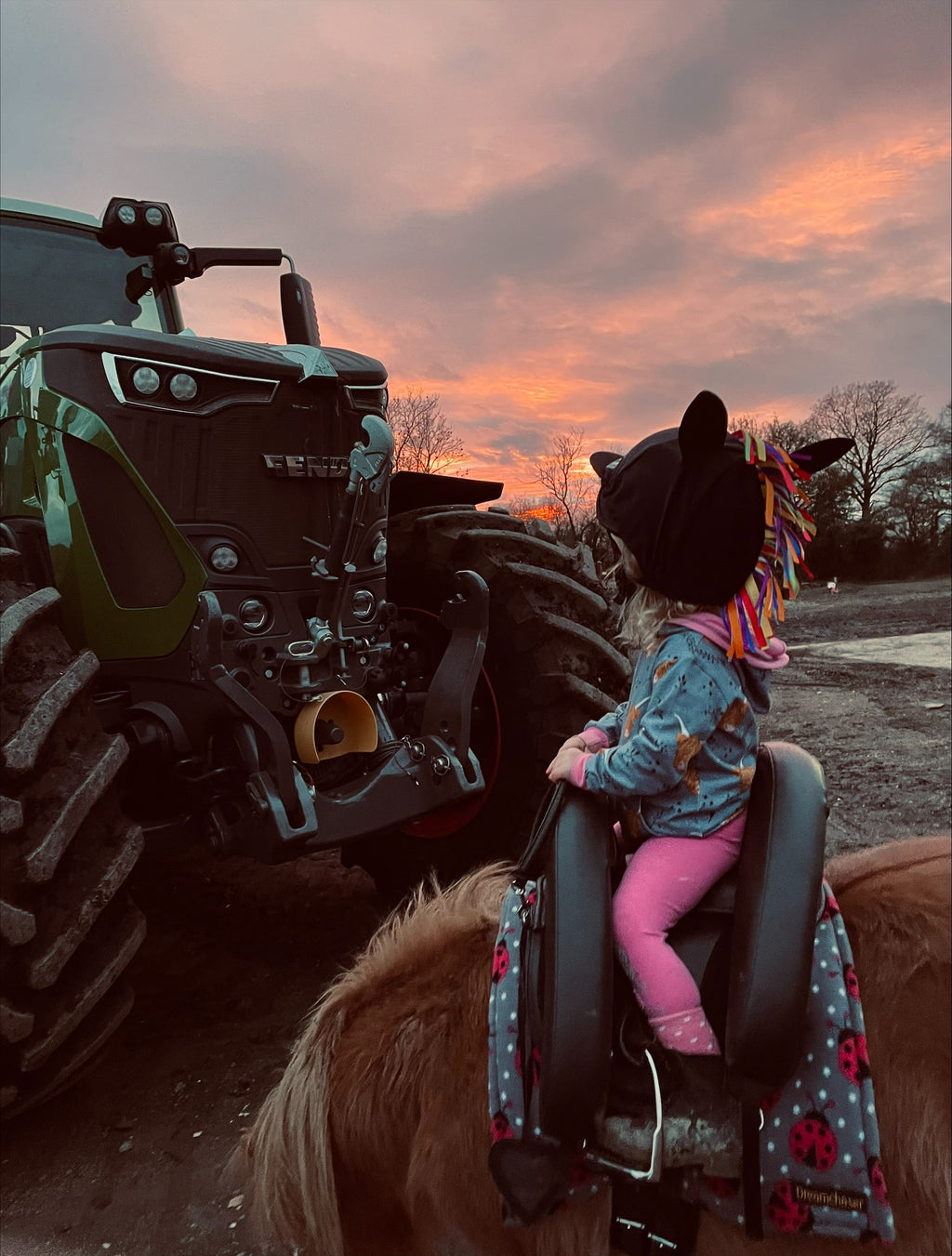 Our Gallery | Inky Dinky Saddles